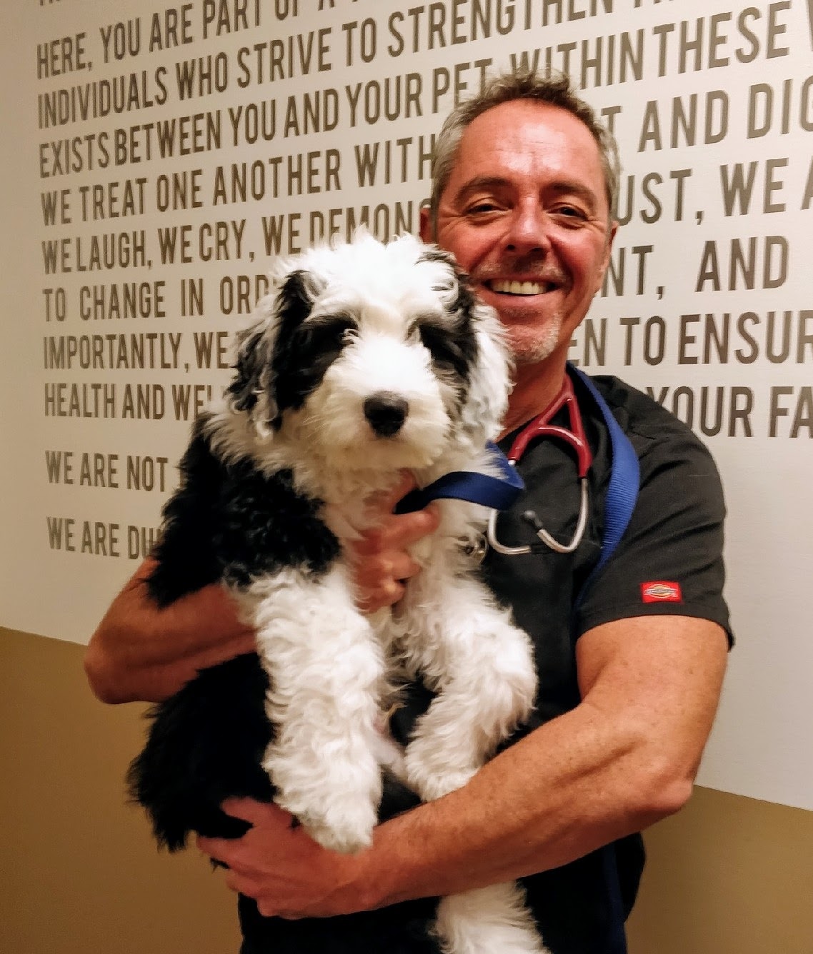 Scott Bainbridge—Helping Animals is More Than A Career. – Anitha Rao ...