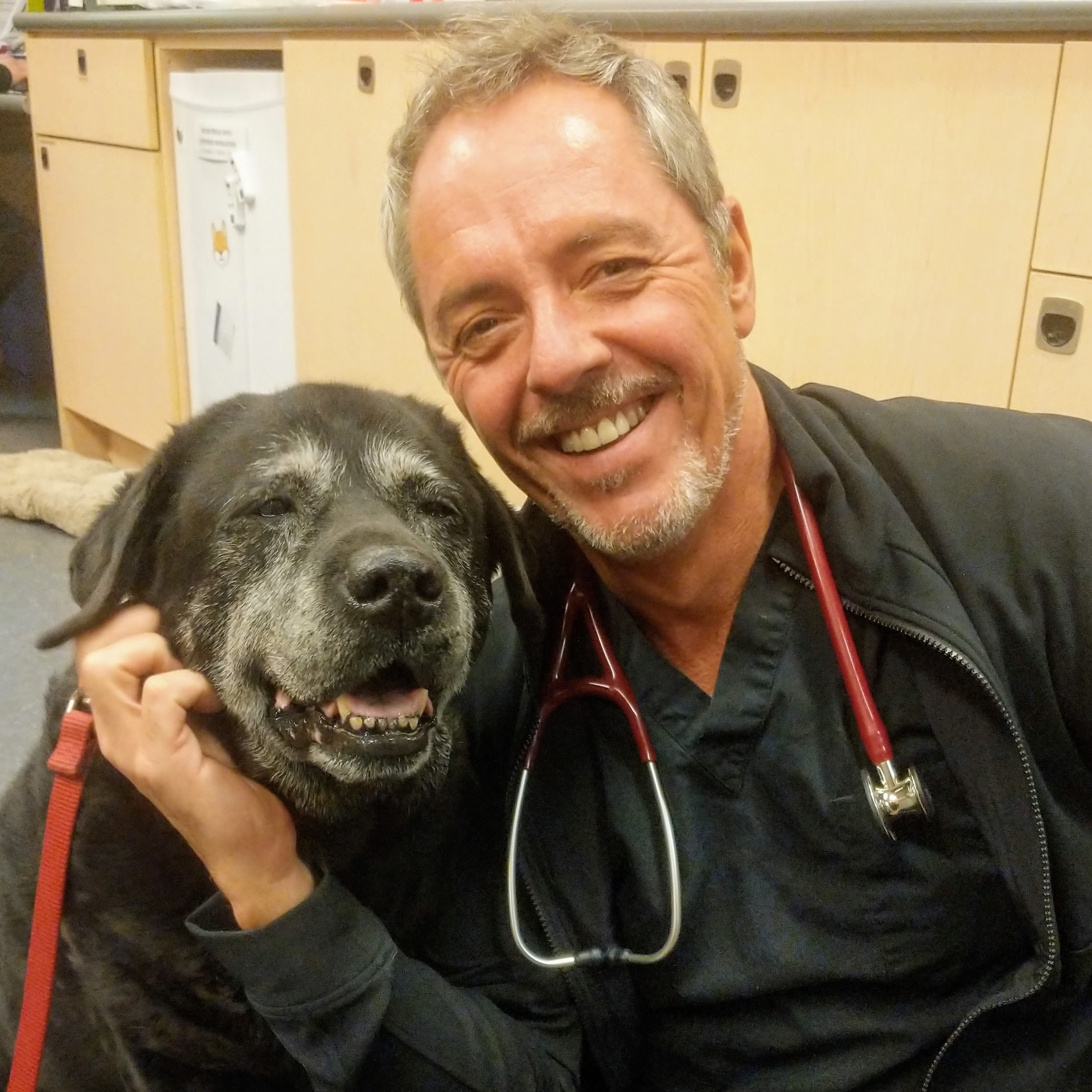 Scott Bainbridge—Helping Animals is More Than A Career. – Anitha Rao ...