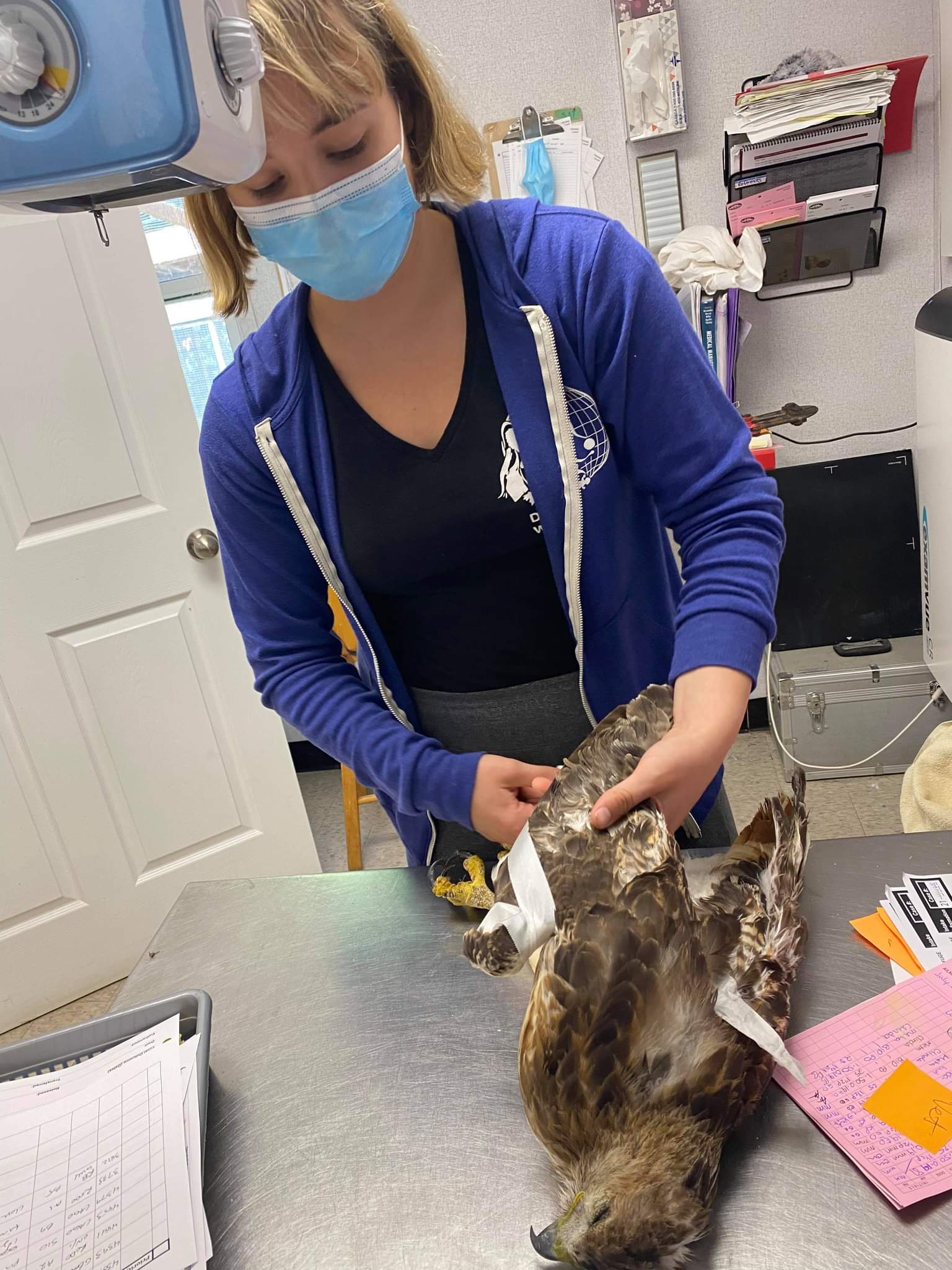 Episode 49: Kindness Is Caring Around The World – Anitha Rao-Robinson