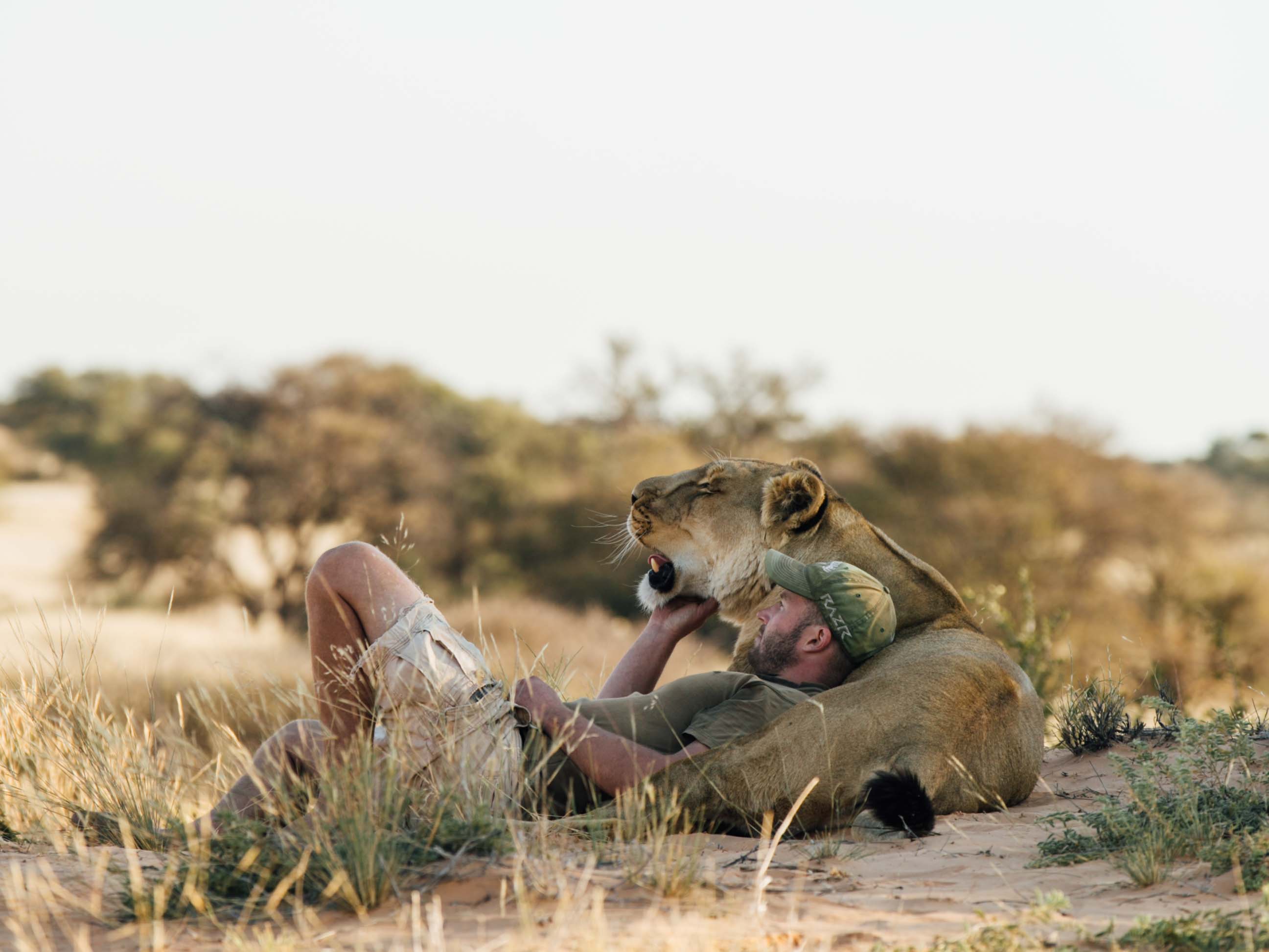 Episode 72: Kindness Is Loving Sirga the Lioness – Anitha Rao-Robinson