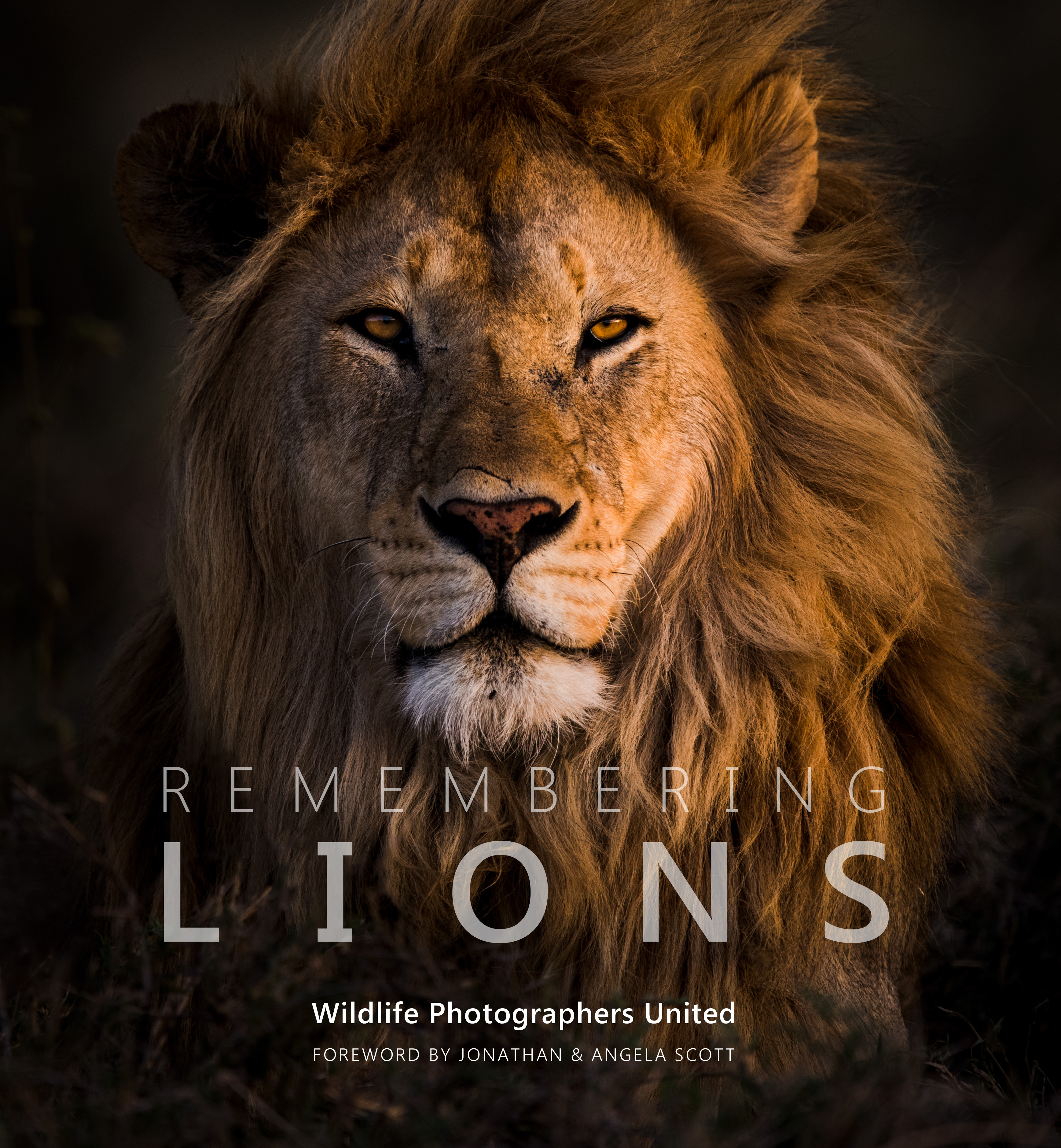 Episode 88: Kindness Is Remembering Wildlife – Anitha Rao-Robinson