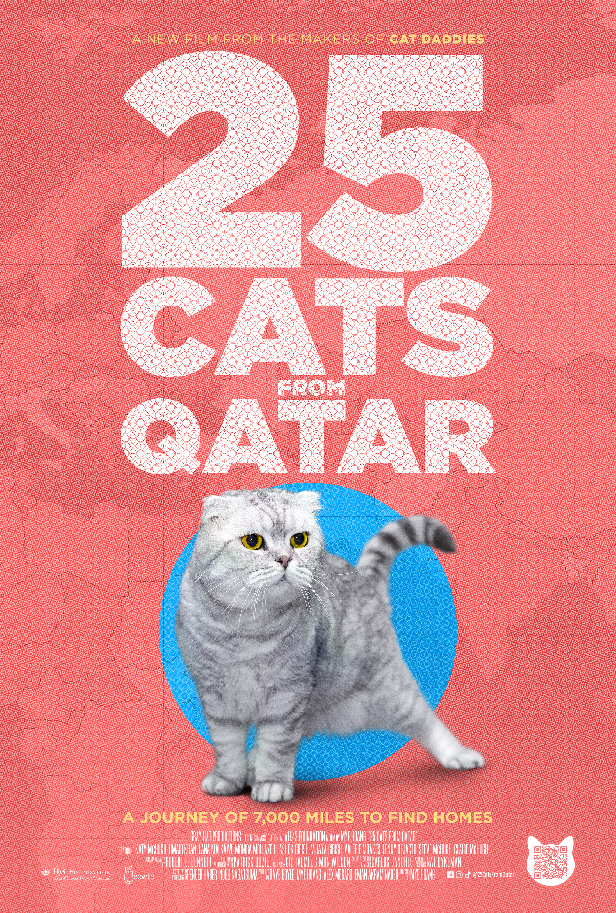 Episode 121: Kindness Is Saving 25 Cats From Qatar – Anitha Rao-Robinson